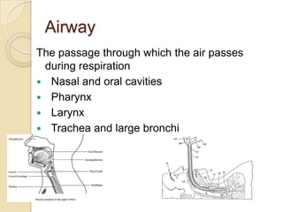 Airway assessment | PPTX