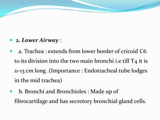 Airway assessment | PPTX