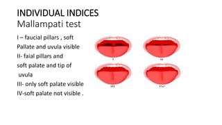 Airway assessment | PPTX