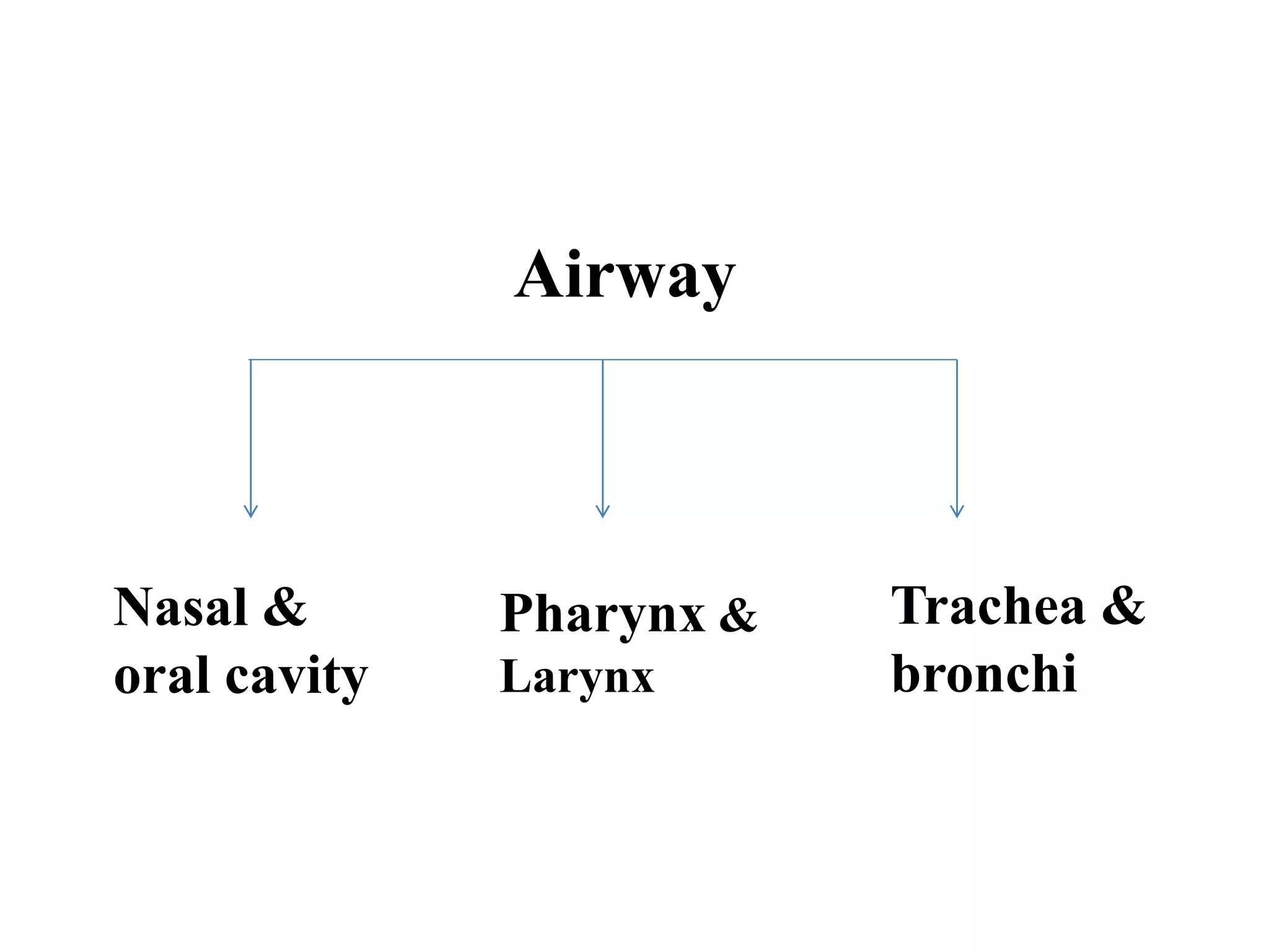 AIRWAY ASSESSMENT IN PAEDIATRICS PATIENTS-LARYNGOSCOPY, INTUBATION | PPTX