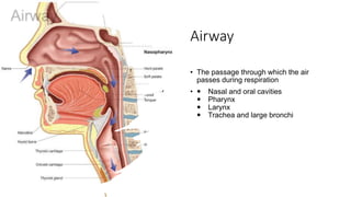 airway assessment.pptx
