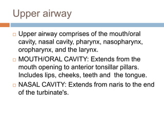 Assessment and management of Airway for BSc Nuursing Students | PPT