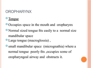 AIRWAY ASSESSMENT AND AIRWAY MANAGEMENT-1.pptx