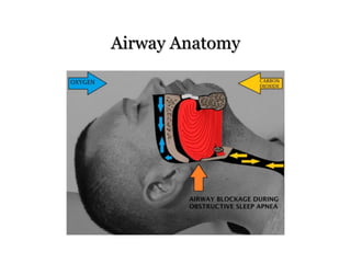 Airway & Cervical Spine.pptx
