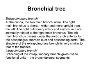 anaesthesia.Airway evaluation and management 1.(dr.amr) | PPT