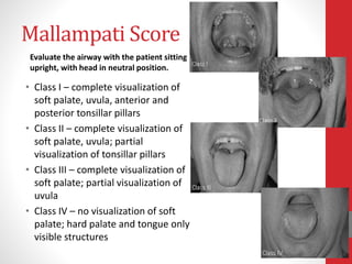 Airway Management for the Trauma Provider | PPTX