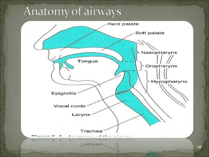 Airway management