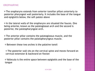 Airway Management Dr. Mohammad Abdeljawad | PPTX