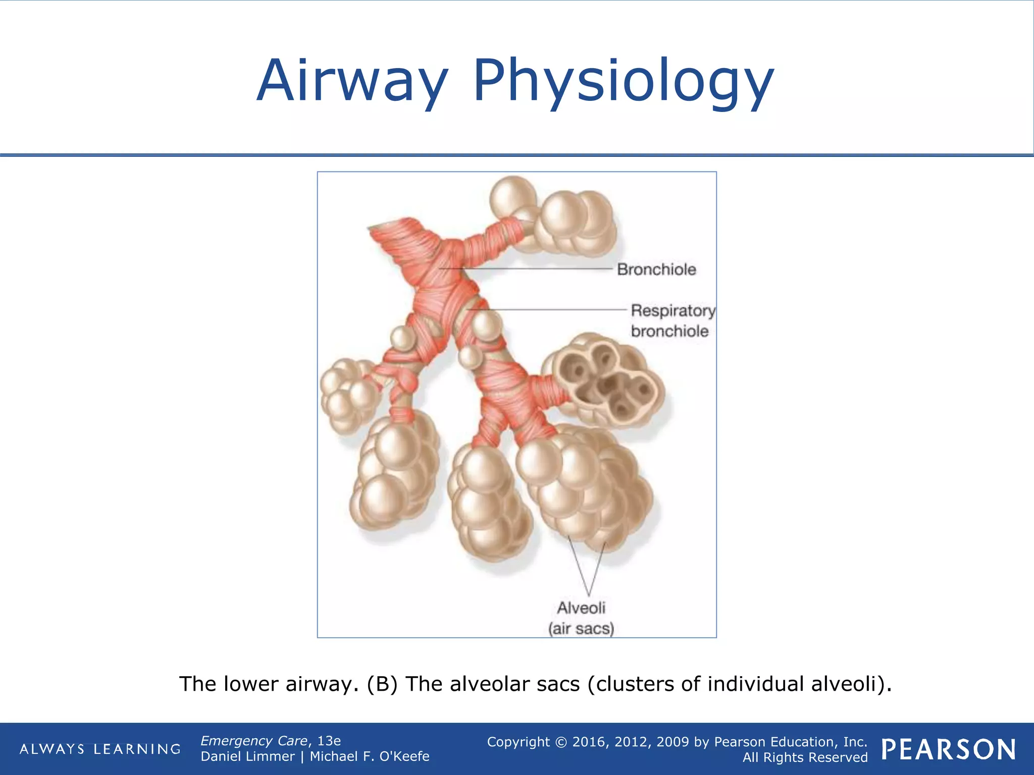 Airway Management.ppt