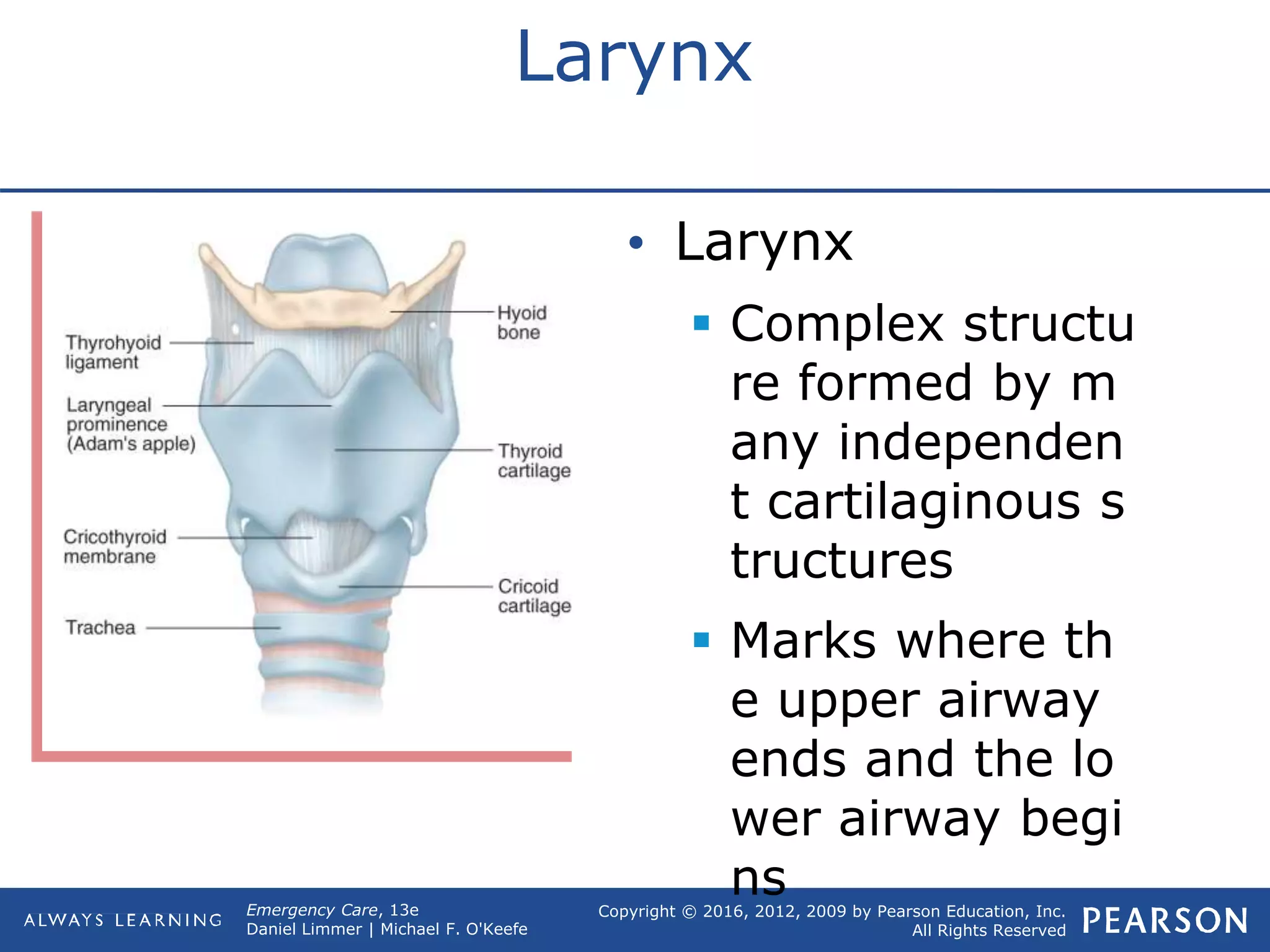 Airway Management.ppt