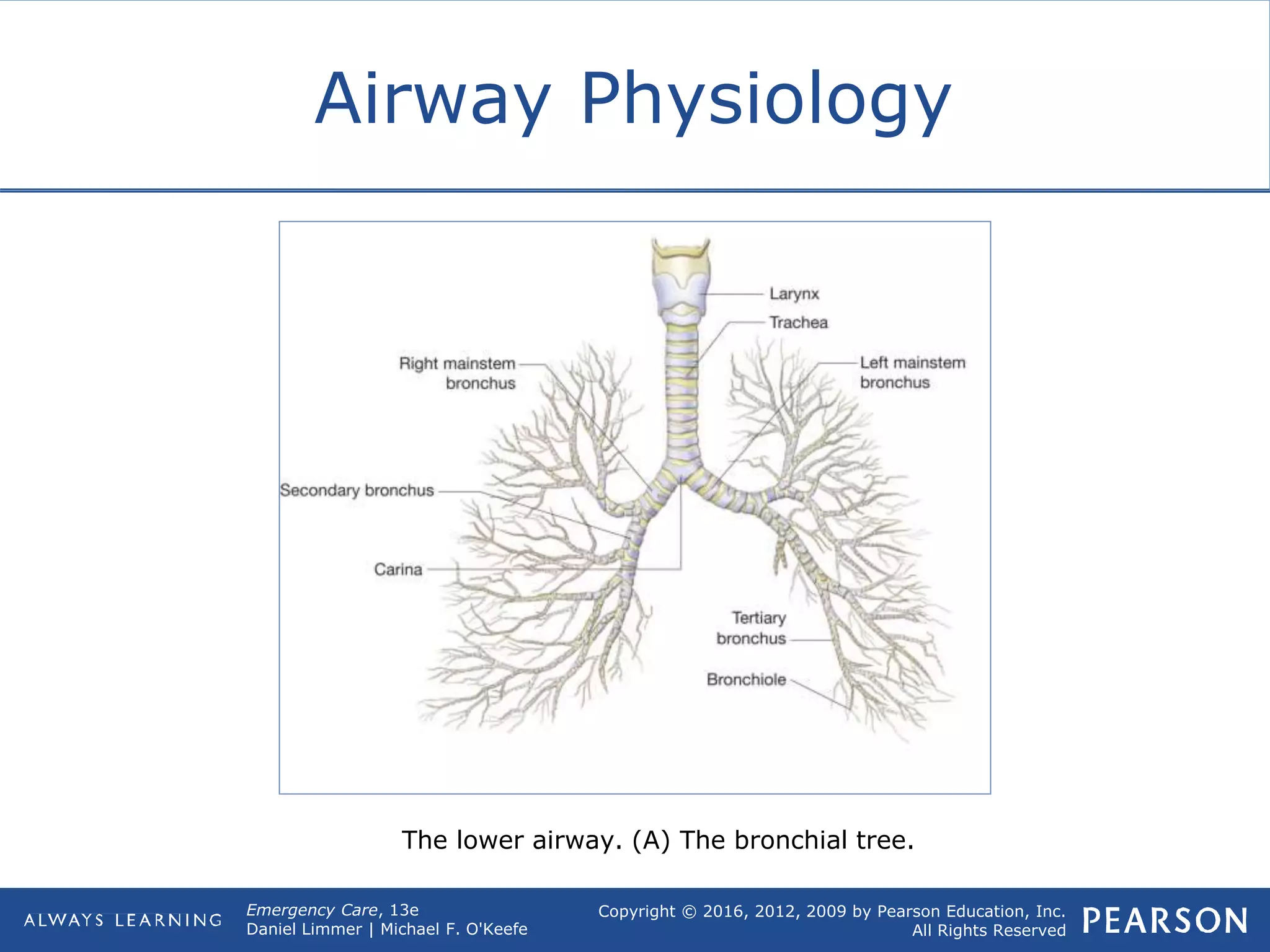 Airway Management.ppt