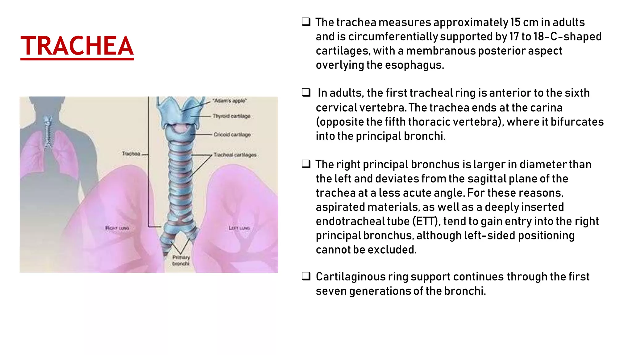 Airway management.pptx