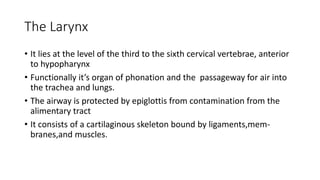 AIRWAY MANAGEMENT in the medical field.pptx