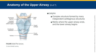 Emergency transport and care of the sick 12th editionAirway Management.pptx