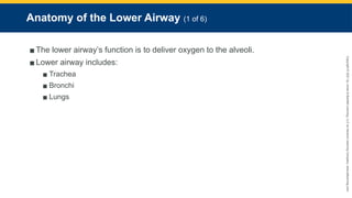 Emergency transport and care of the sick 12th editionAirway Management.pptx
