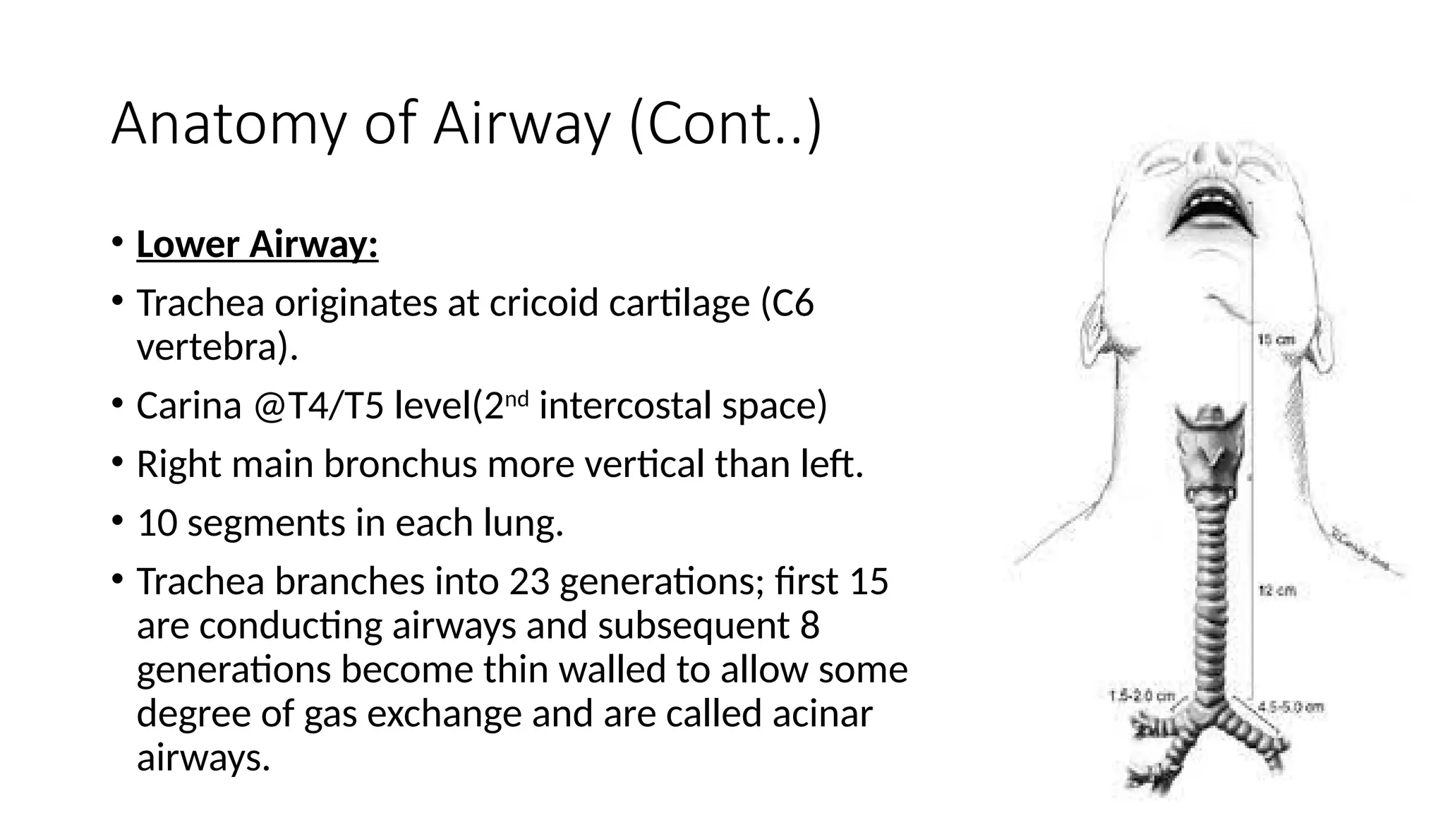 AIRWAY ANATOMY, DIFFICULT INTUBATION, Supraglotic airway devices, Video ...