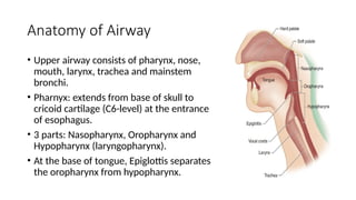 AIRWAY ANATOMY, DIFFICULT INTUBATION, Supraglotic airway devices, Video ...