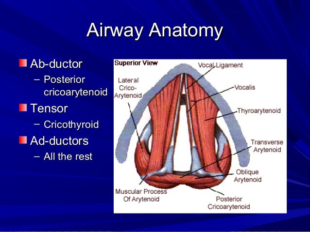 Airway management
