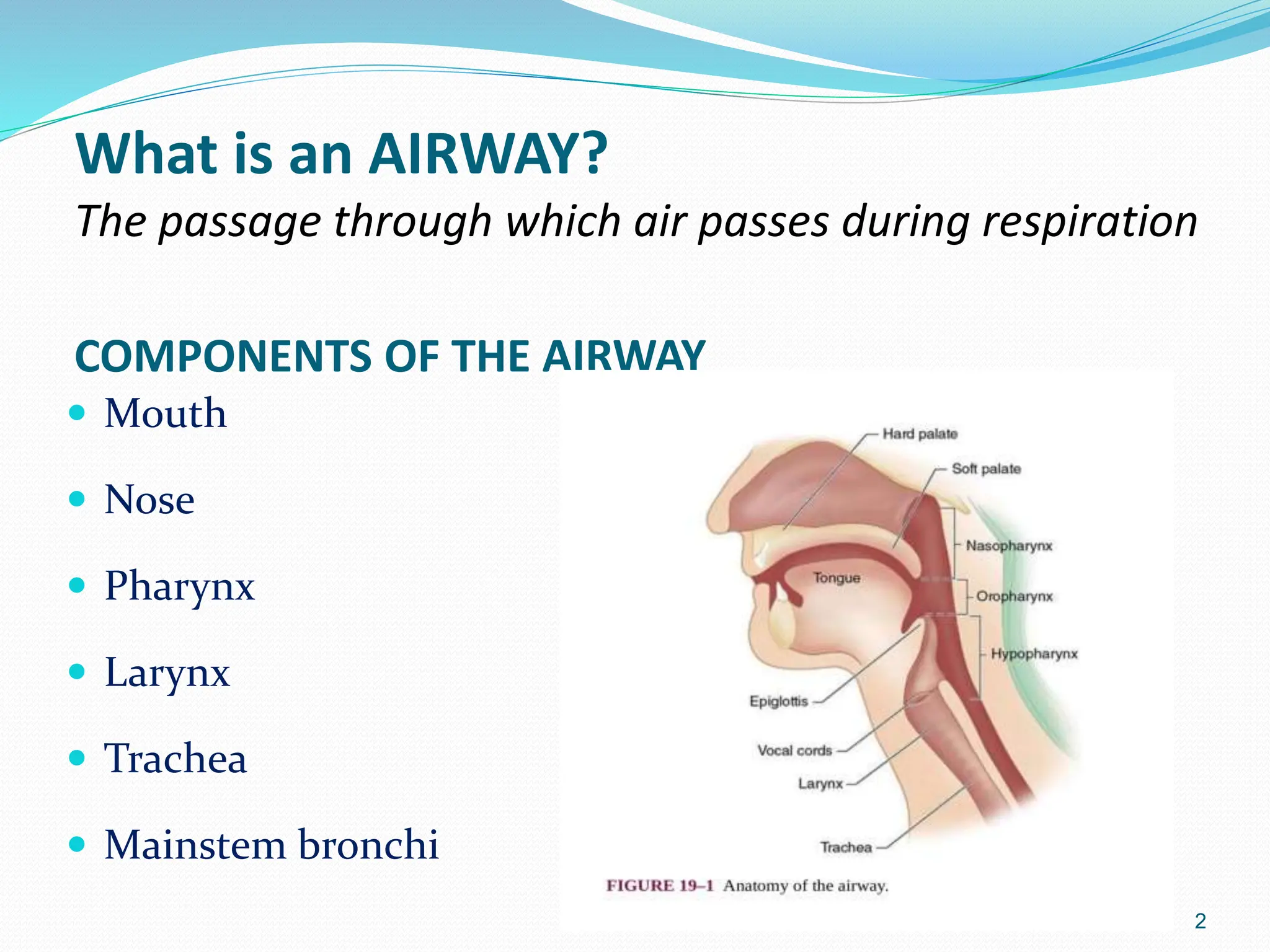 airway management with assessment and guidelines 1.pptx