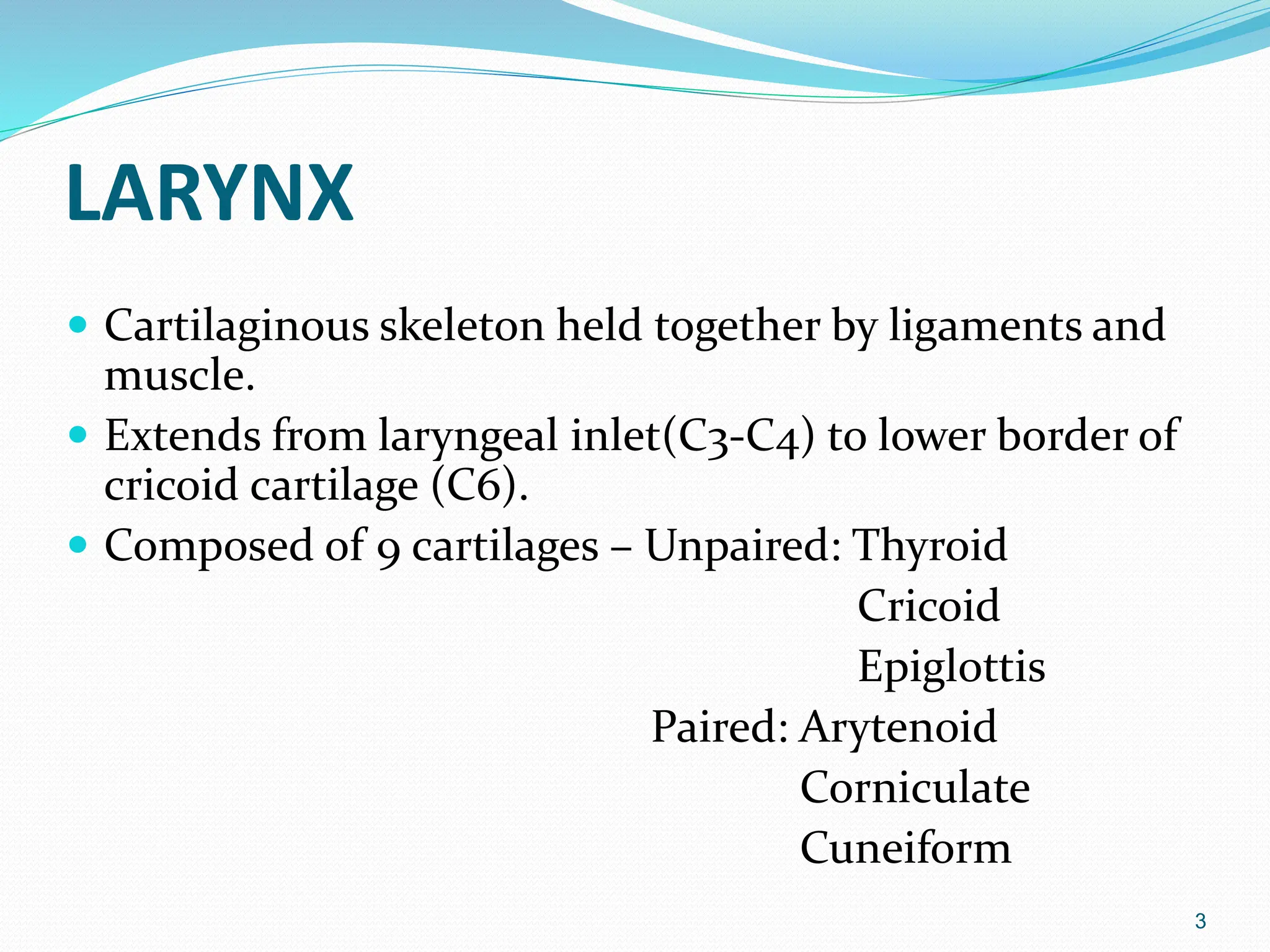 airway management with assessment and guidelines 1.pptx