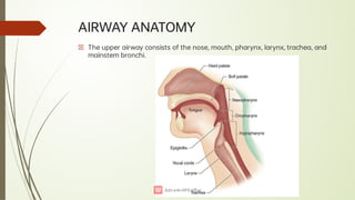 Airway Management [Autosaved].pdf