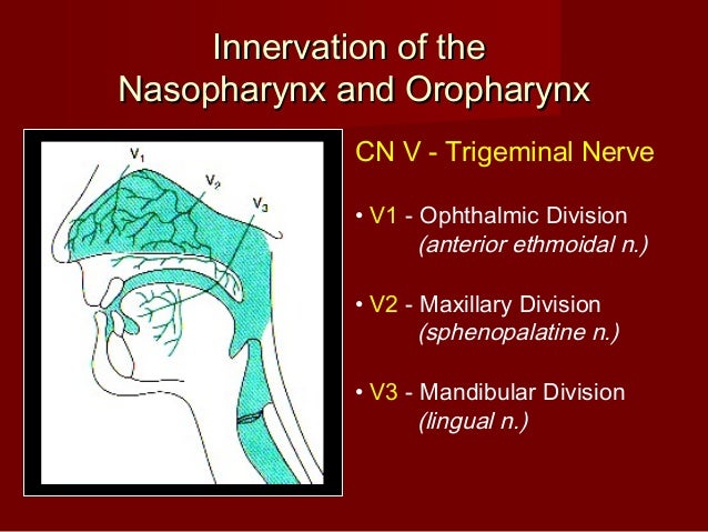 Airway management for lu6