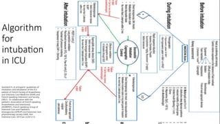 Airway management in the critically ill.pptx