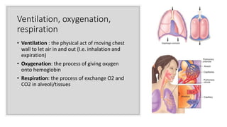 Airway management techniques by Dr Than Vutha | PPTX