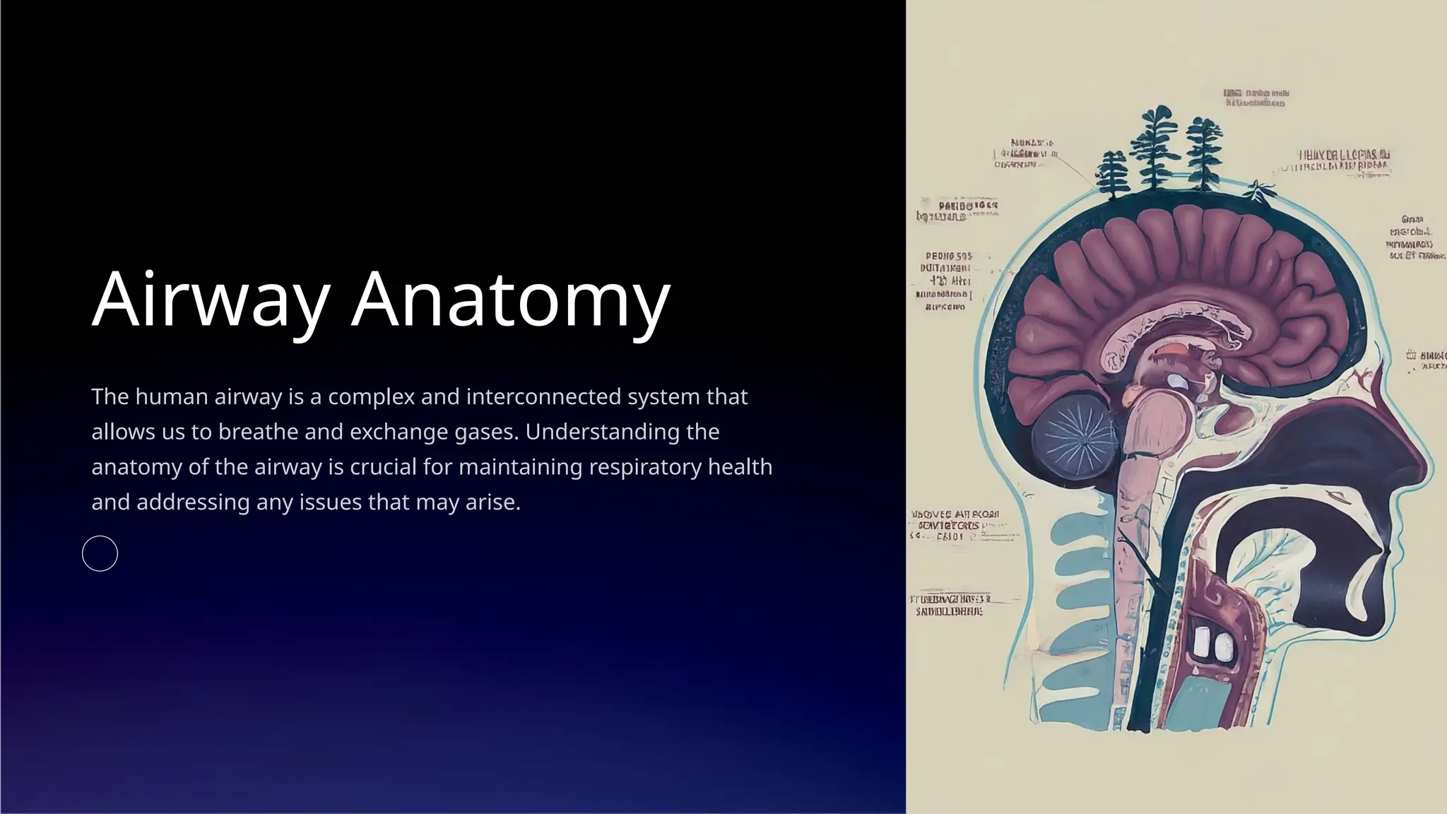 airway_managment emergency intubation and .pptx