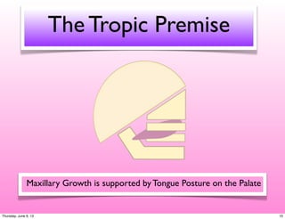 Airway ortho 4 skeletal treatment | PDF | Ear, Nose and Throat ...