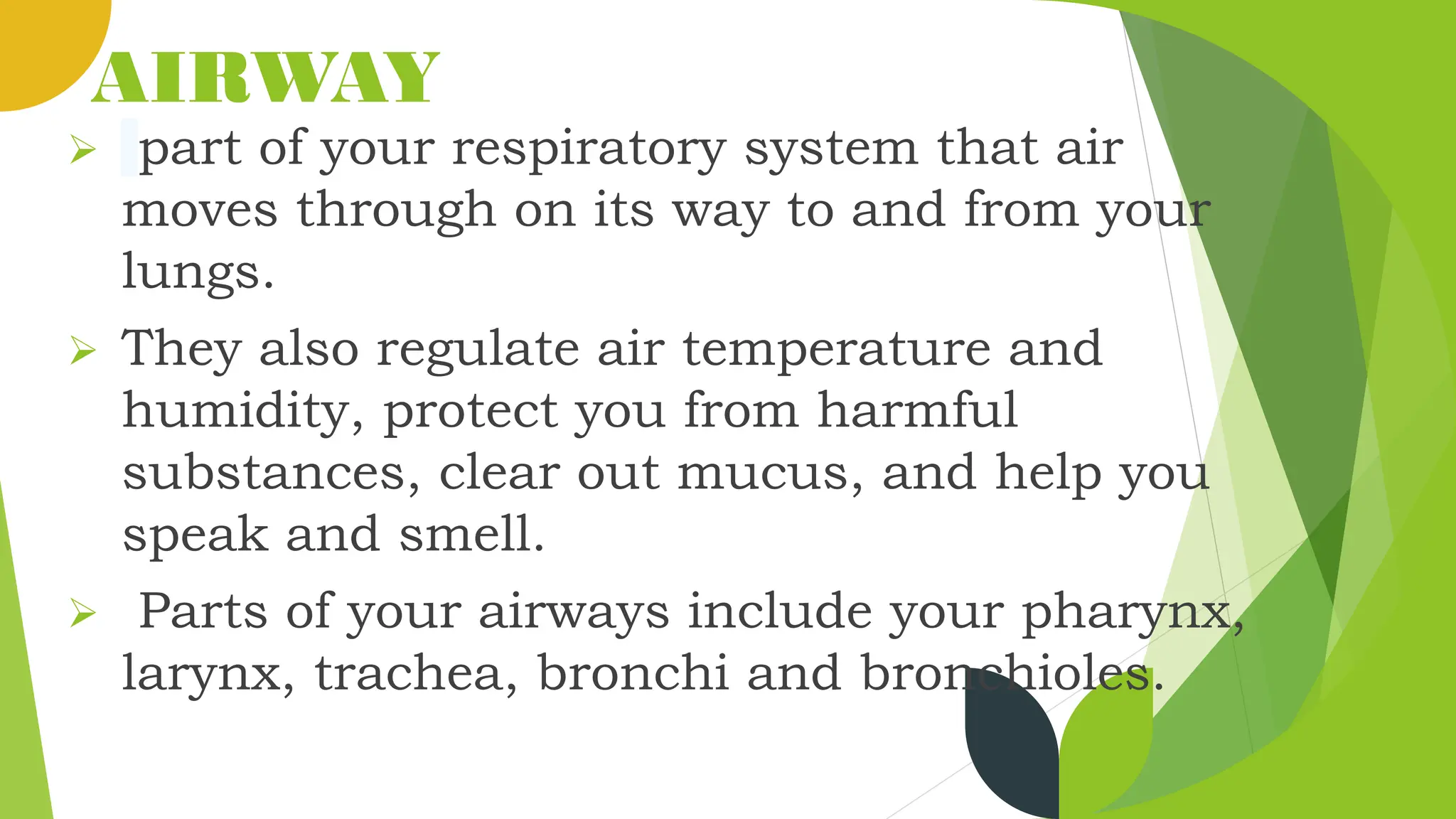 AIRWAY POWERPOINT PRESENTATION (PPT) PDF | PDF
