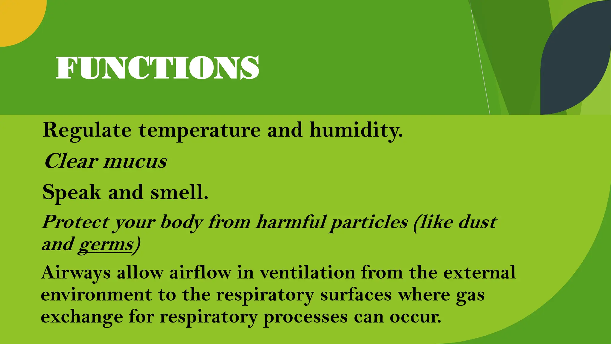 AIRWAY POWERPOINT PRESENTATION (PPT) PDF | PPT