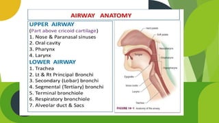 AIRWAY POWERPOINT PRESENTATION (PPT) PDF | PDF