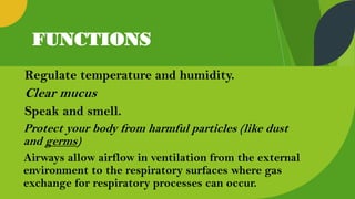 AIRWAY POWERPOINT PRESENTATION (PPT) PDF | PDF