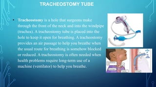 Airways and Tube ( Dr. Samrth Pareta )ppt.pptx