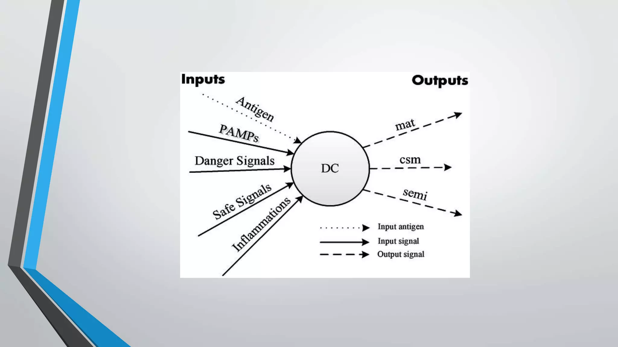 Artificial Immune System Pptx Computer Networking Computing