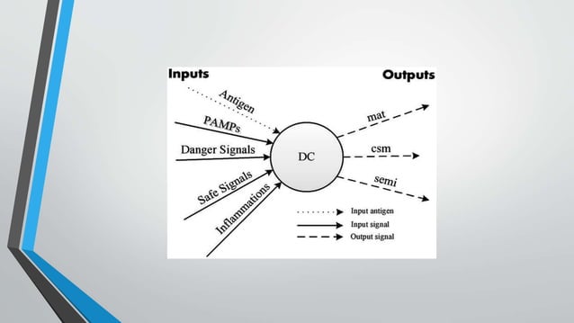 Artificial Immune System Pptx Computer Networking Computing