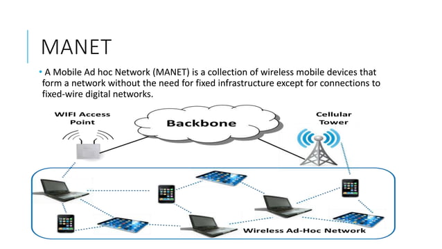 Artificial immune system | PPTX | Computer Networking | Computing