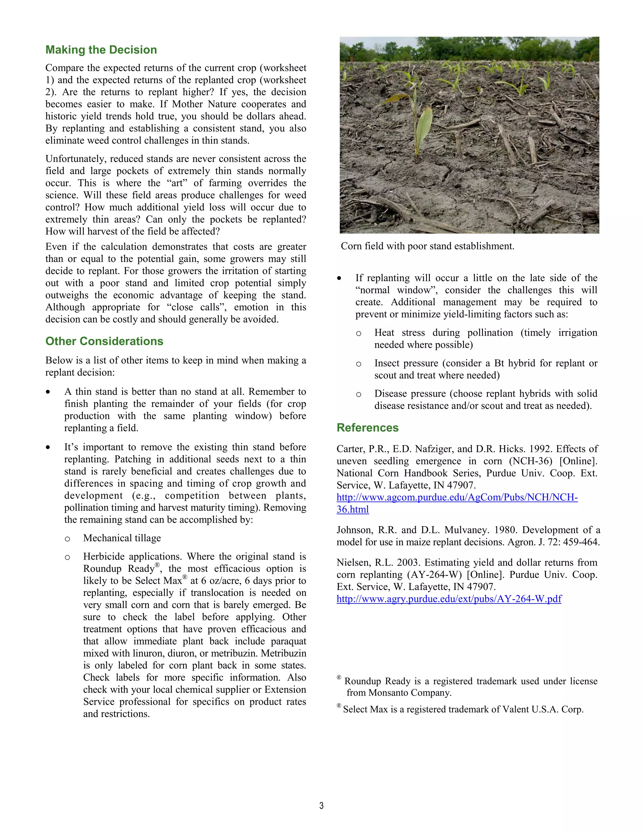 Field Facts: Corn Replant Guide Southern US | PDF