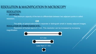 aisha bio slides (1).pptx