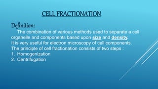 aisha bio slides (1).pptx