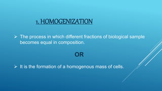 aisha bio slides (1).pptx