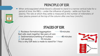 AISHAT SIWES PRESENTATION1.pptx