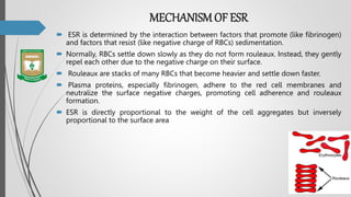 AISHAT SIWES PRESENTATION1.pptx