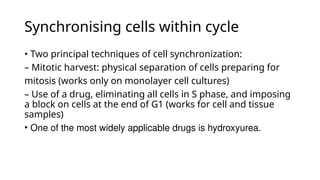 Cell cycle and it’s Types and radiation effects | PPTX