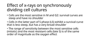Cell cycle and it’s Types and radiation effects | PPTX