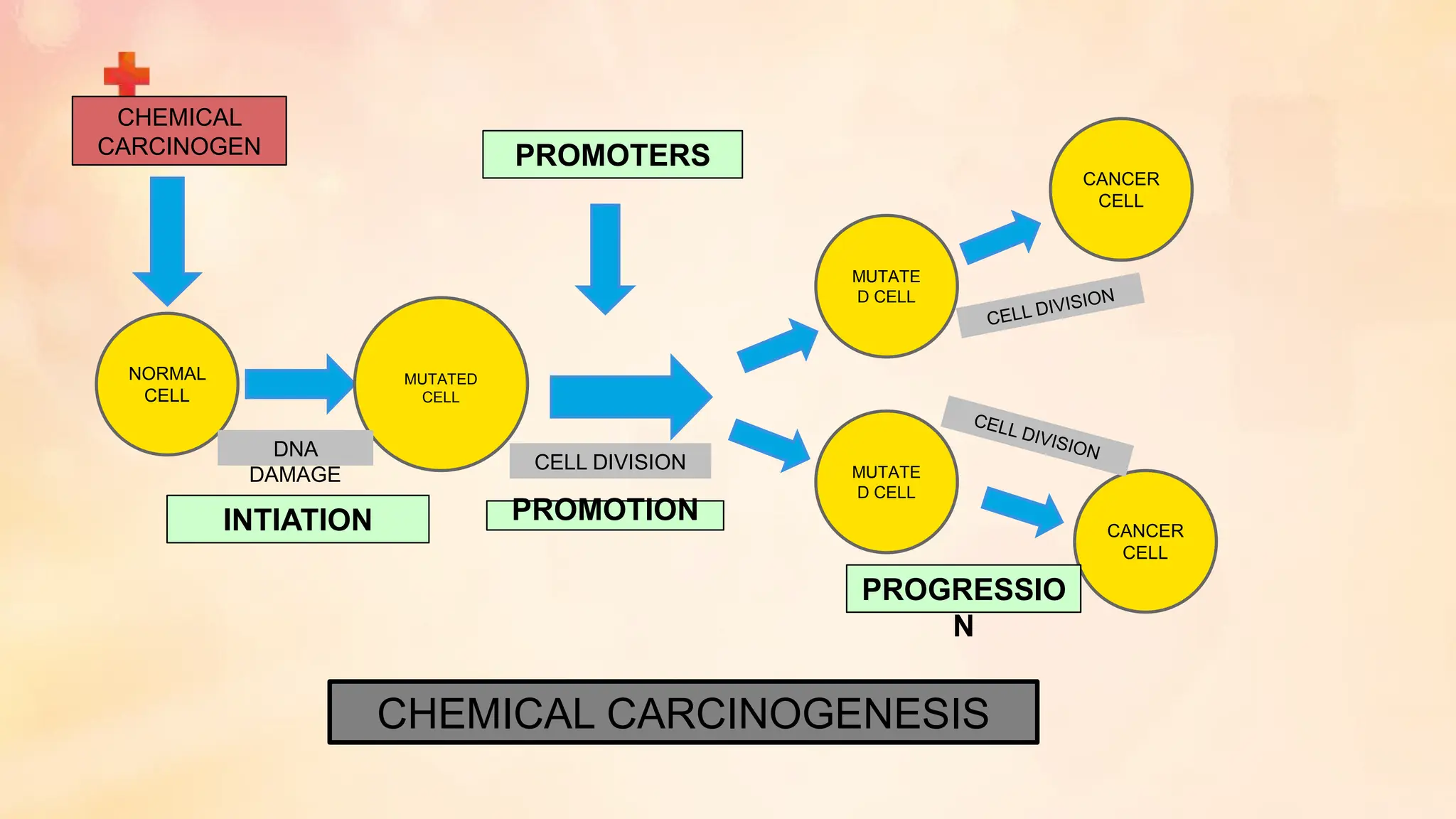 CARCINOGENS and it's types chemical,physical and biological carcinogens | PPTX