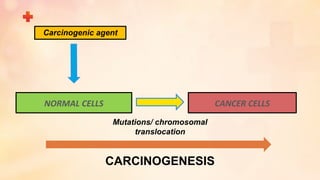 CARCINOGENS and it's types chemical,physical and biological carcinogens ...