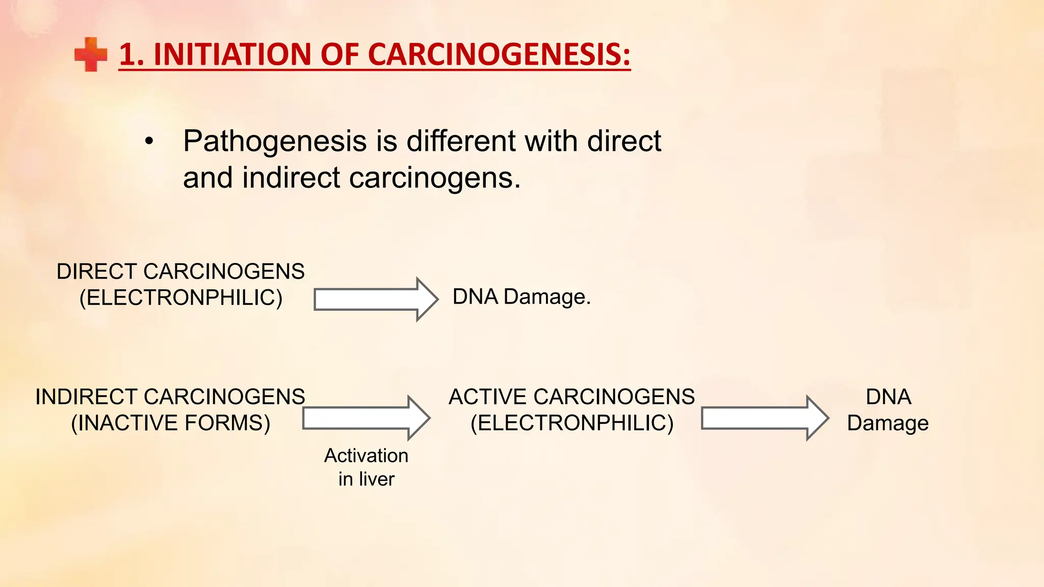 Carcinogens presentation ppt introduction of carcinogens and types of ...