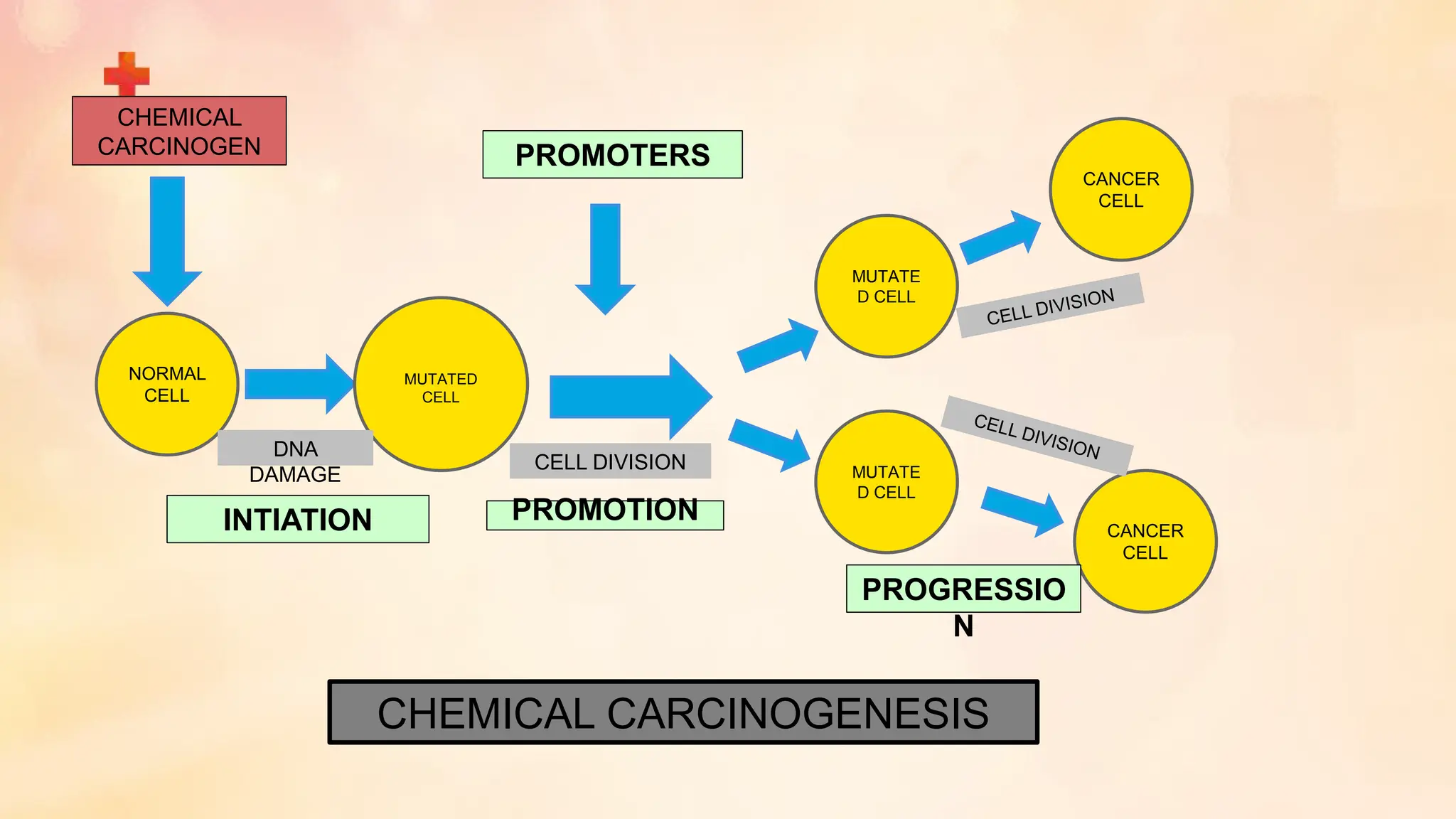 Carcinogens presentation ppt introduction of carcinogens and types of ...